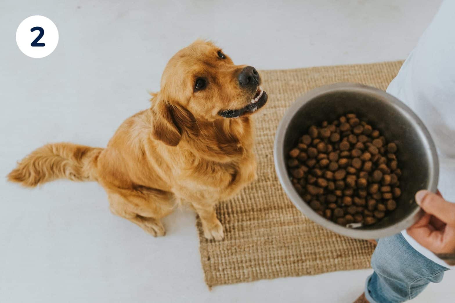 Hondenvoeding BuddyBites- Persoonlijk. Gezond. Thuis geleverd.